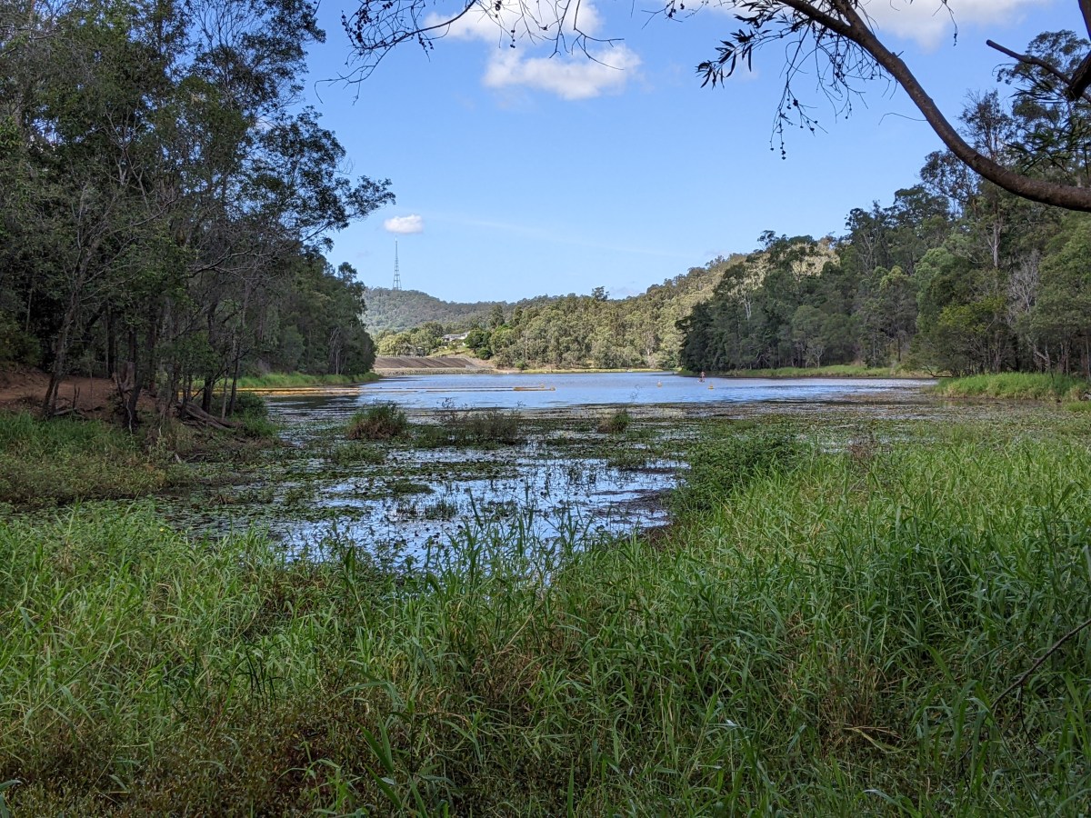 Regulation Punishment: Exploring the D’Aguilar National Park (Part 1 ...